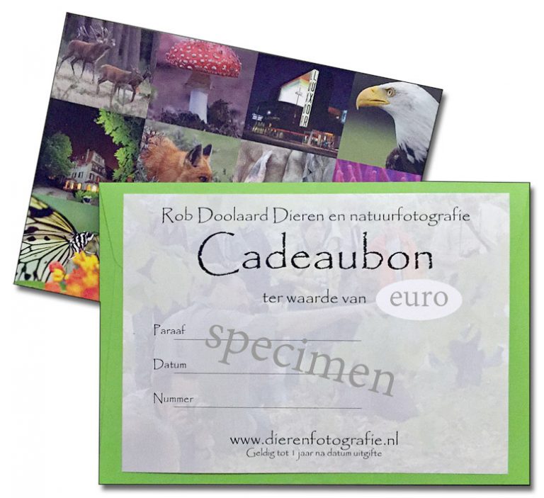 Rob Doolaard in een notendop | Rob Doolaard Dieren- en Natuurfotografie